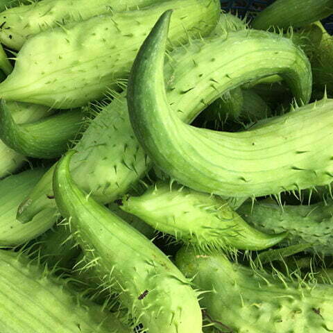 What's Growing - Incredible Vegetables